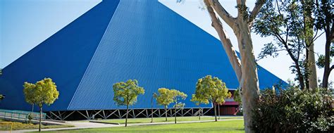 Csulb College Skills Diagnostic Skillscommons Support