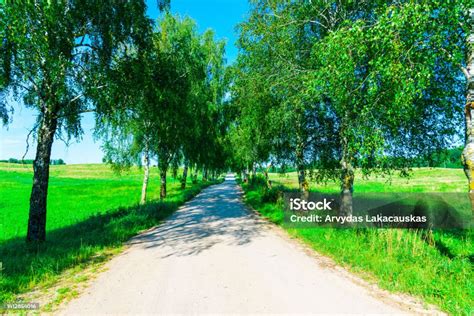 나무가있는 여름 빈 시골 길 옆에조경 개념 여름 자연 풍경의 긴 자갈 길 0명에 대한 스톡 사진 및 기타 이미지 0명 경관 구름 Istock