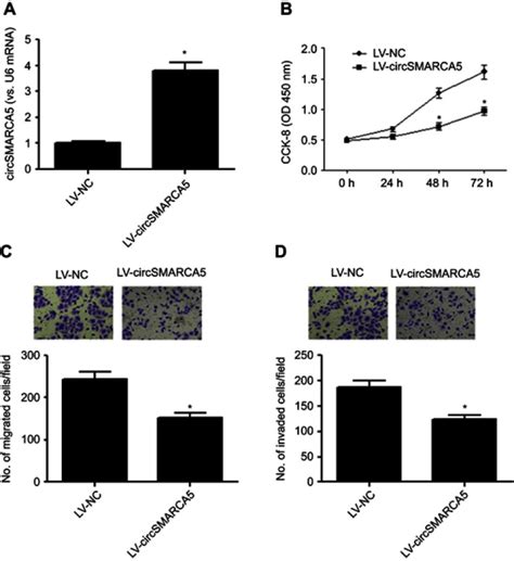 Circular Rna Smarca5 Inhibits The Proliferation Migration And
