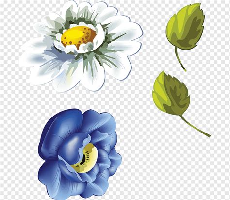 국화 꽃 국화 수채화 그림 푸른 꽃꽂이 Png Pngwing