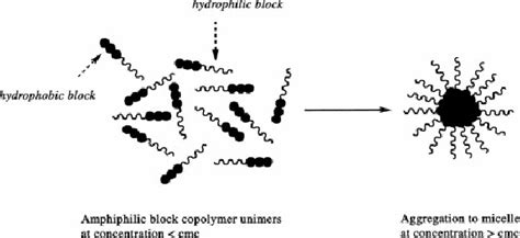 Self Assembling Of Amphiphilic Di Block Copolymers In Water Download Scientific Diagram