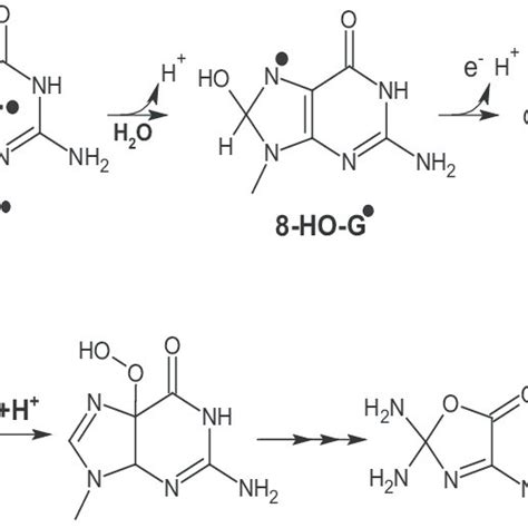 Graphical Representation Of Phosphorothioate Internucleotide Bond Download Scientific Diagram
