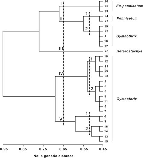 Depiction Of The Results Of The UPGMA Clustering Analyses Of 29 Download Scientific Diagram