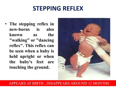 Assessment Of Newborn Reflexes Pptx