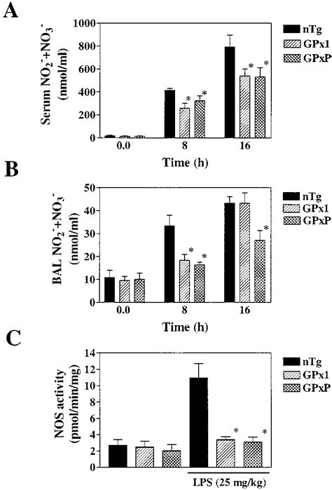Nitritenitrate Level In Plasma And Bal And Inos Activity In Download Scientific Diagram