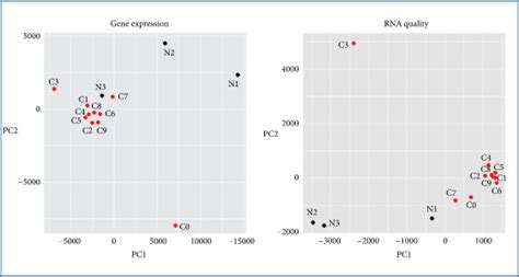 A Simple Guideline To Assess The Characteristics Of RNA Seq Data RNA