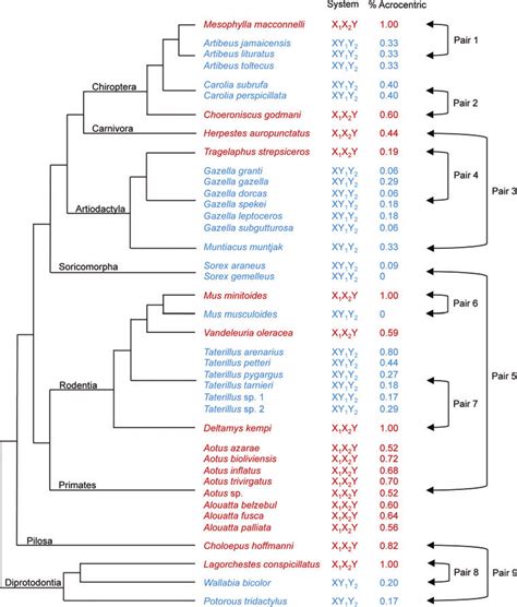 Multiple Sex Chromosome Systems And The Percentages Of Acrocentric