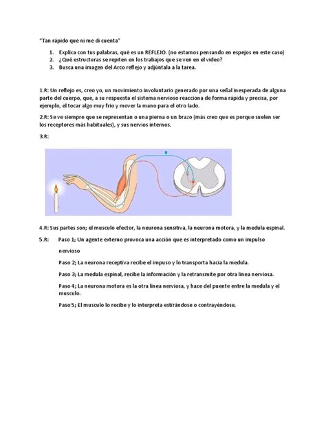 Tan Rapido Siii Ppapi Pdf