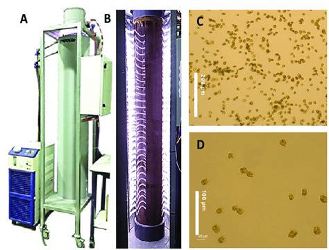 Pilot Scale Bubble Column Photobioreactor System Used In Obtaining The Download Scientific