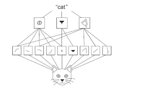 Cnn 합성곱 신경망 Convolutional Neural Network