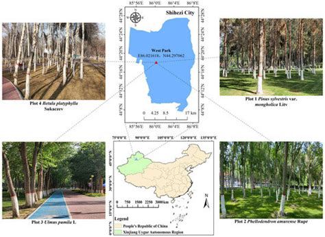 Forests Free Full Text Tree Diameter At Breast Height Extraction Based On Mobile Laser