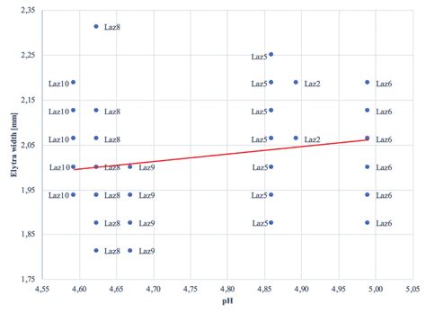 Linear Regression Graph Between Elytra Width Of Nebria Castanea Download Scientific Diagram