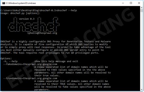 dnschef an advanced dns proxy
