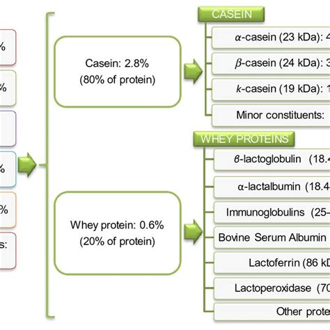 Percentage Composition By Weight Of Natural Milk Constituents