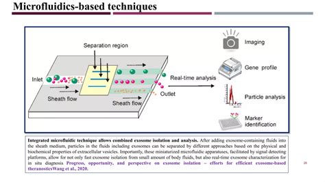 Exosome Isolation And Characterization Pptx