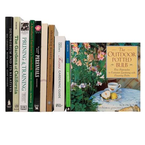 Shocking Beauty The Complete Book Of Perennials Dendrobium And Its