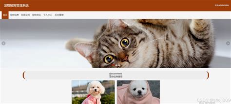 Javavue计算机毕设宠物销售管理系统tcsh0【源码开题论文程序】 Csdn博客