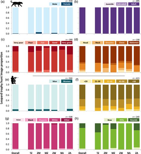 Proportional Effects Of African Leopard Panthera Pardus Pardus Ad