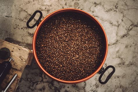 Die Kaffeesorten Arabica Und Robusta Im Vergleich Coffee Circle