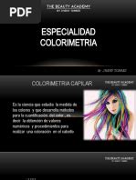 Altura De Tono Y Colorimetría Del Cabello Pdf Color Rojo