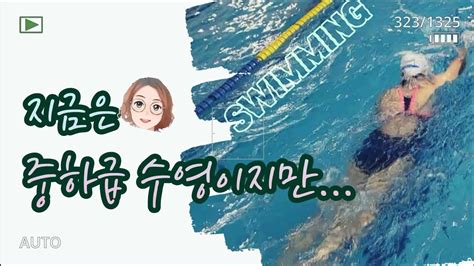 🏊‍♀️🏊‍♀️수린이의 수영~접영하는 그 날까지 열수 Youtube