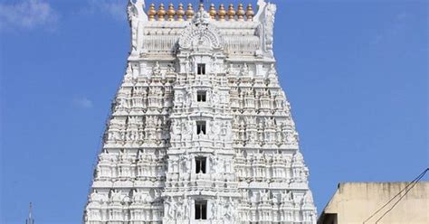 తిరుపతి గోవిందరాజస్వామి ఆలయం వద్ద విషాదం కుప్పకూలిన వందల ఏళ్ల నాటి మర్రిచెట్టు ఒకరి మృతి