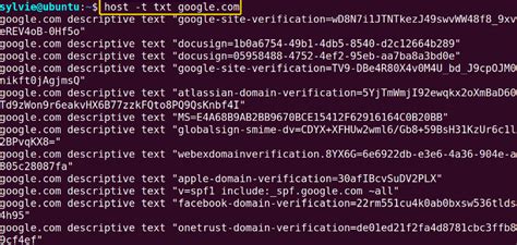 The Host Command In Linux Practical Examples