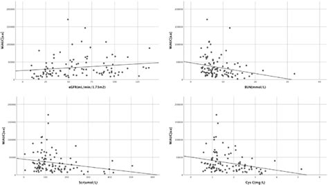 Correlation Between Renal Cortex Microvascular Perfusion Parameter