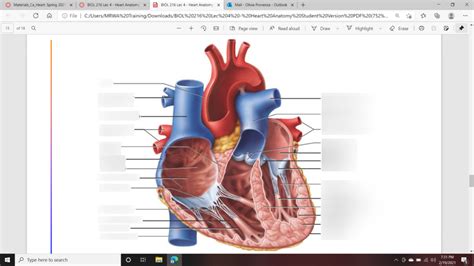 Heart Anatomy 3 Diagram Quizlet