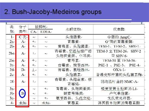 Logical Line 1overview 2resistance Of Lactam Antibiotics 3classification