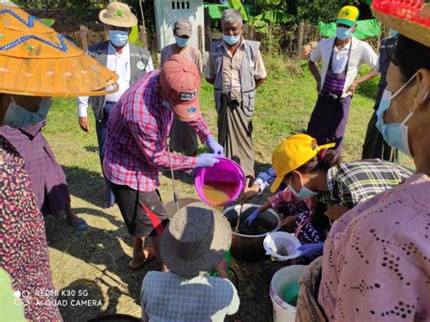 ခန္တီးမြို့နယ်တွင် ရွက်ဖြန်းမြေဩဇာနှင့် သဘာဝပိုးပြေးဆေး လက်တွေ့အသုံးချခ