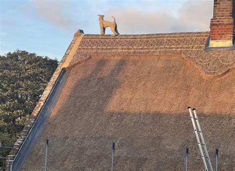 Sally Stradling Posted On Linkedin