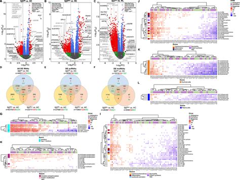 Protein Coding Pcrnas And Long Non Coding Lncrnas Are Download