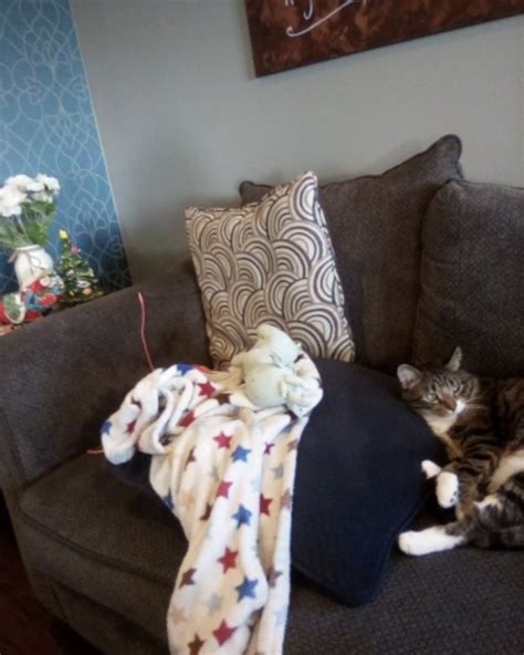 Help me find this blanket : r/HelpMeFind