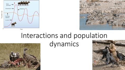Ecology Interactions And Population Dynamics