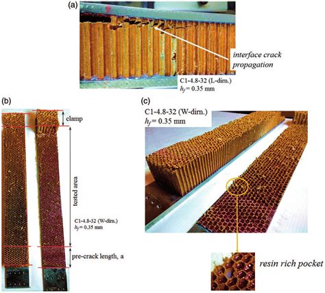 A Face Core Interface Crack Propagation Path In A Cfrp C1 4 8 32 Download Scientific Diagram