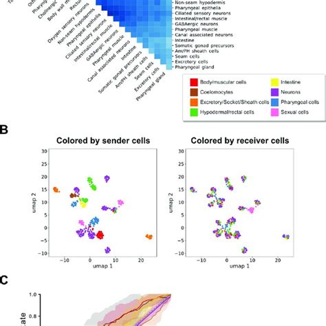 Cell Cell Interactions And Communication In C Elegans A Heatmap Of