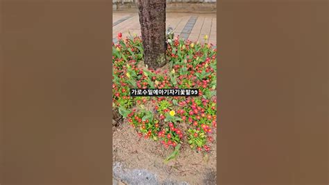 봄비맞으며 방긋🙋‍♀️ Youtube