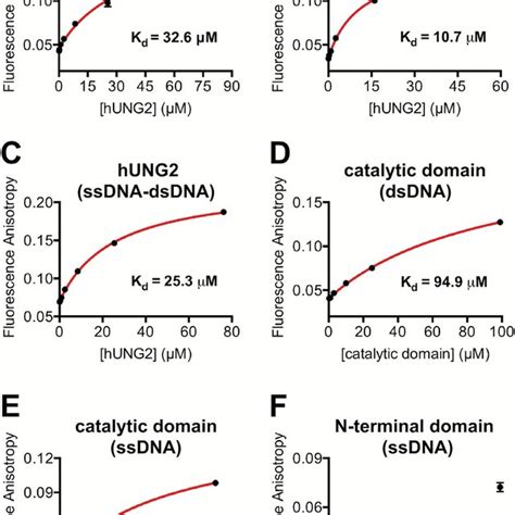 Fluorescence Anisotropy Binding Assays Except For Panel F The Buffer Download Scientific