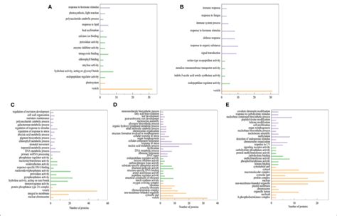 Gene Ontology Go Term Enrichment For Differentially Expressed Download Scientific Diagram