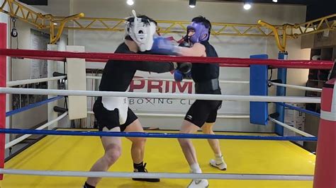 정민호 Vs 미들급 프로 복서의 복싱 스파링 복싱 스파링 Boxing Youtube