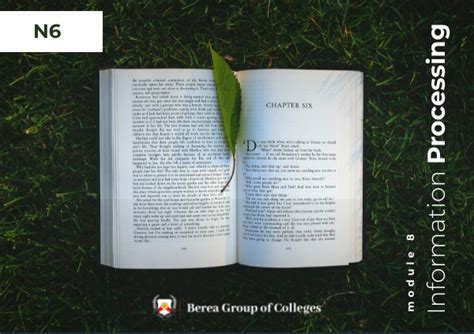 Information Processing N6 Module 8 By E Publishing Flipsnack