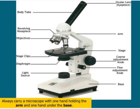 Unit 3 Lesson Quiz Flashcards Quizlet Unit 3 Lesson Quiz Flashcards Quizlet
