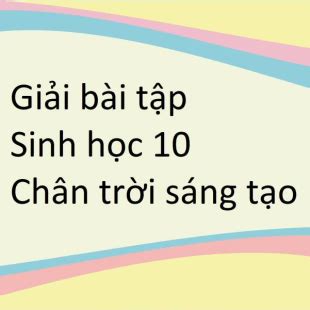 Hãy vẽ sơ đồ minh họa cấu tạo của một cặp nucleotide