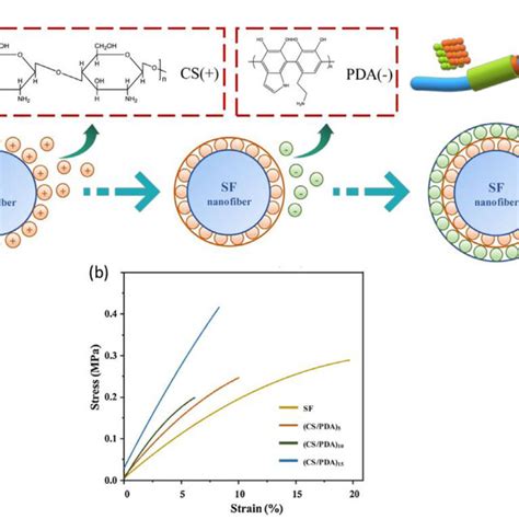The β Sheet Formation In Silk Fibroingelatin Blends Treated Via