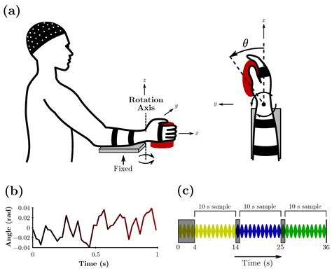 Sensors Free Full Text Decoding Electroencephalography Signal