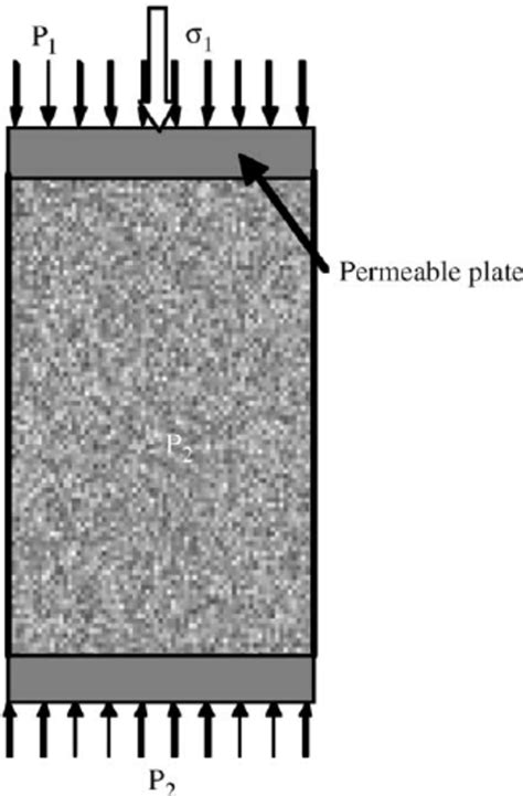Numerical Model For Seepage Tests Download Scientific Diagram