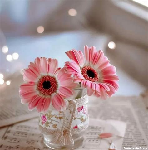 17 عکس های چشم مختلف برای پروفایل جذاب و خاص