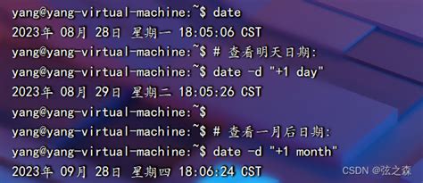 十七、linux的日期和时间？重置时区？ linux重置时间命令 csdn博客