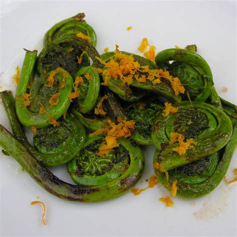 Best Fiddlehead Fern Recipe Recipe How To Make Sautéed Fiddle Head Fern